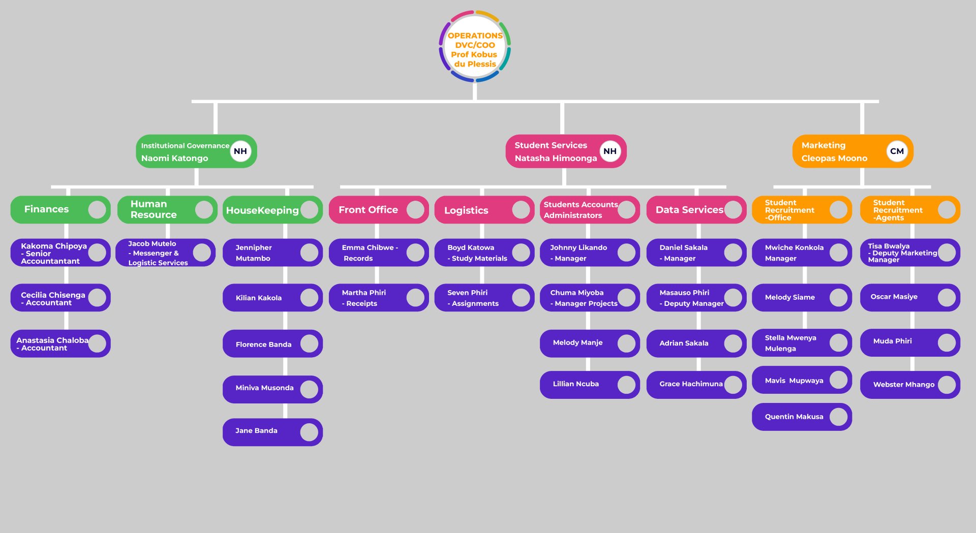Africa Research University - Organisational Structure