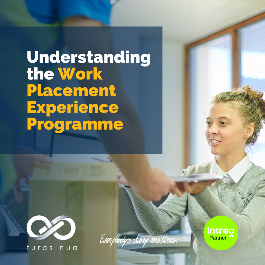Understanding the Work Placement Experience Programme