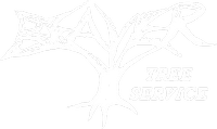 About - Newaygo, MI - Beaver Tree Service LLC