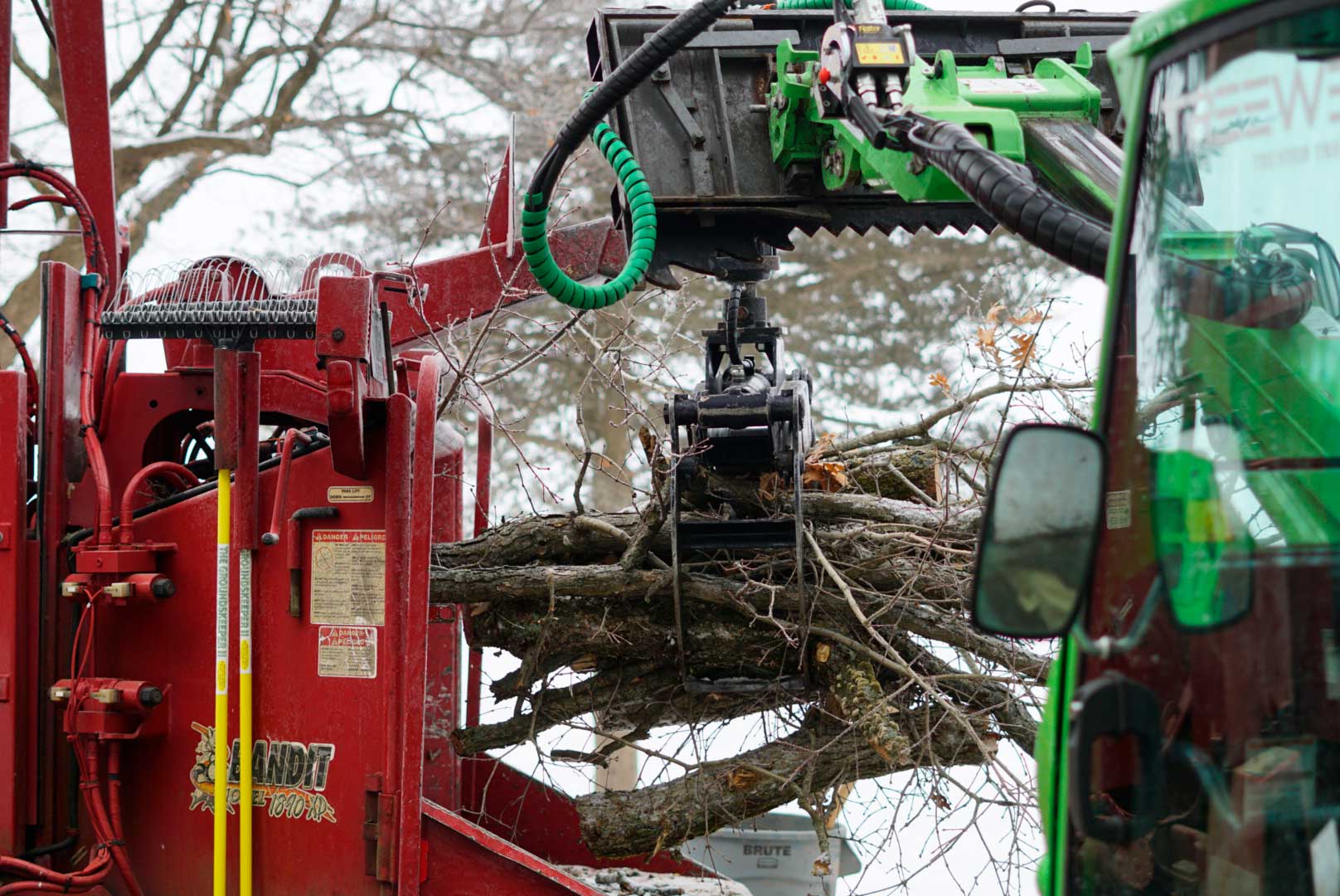 Photos of Tree Trimming | Madison, WI | Treewerx