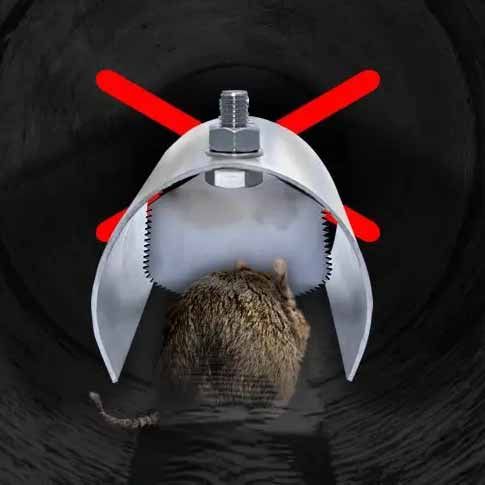 Rodent Control & Prevention - Domestic & Commercial