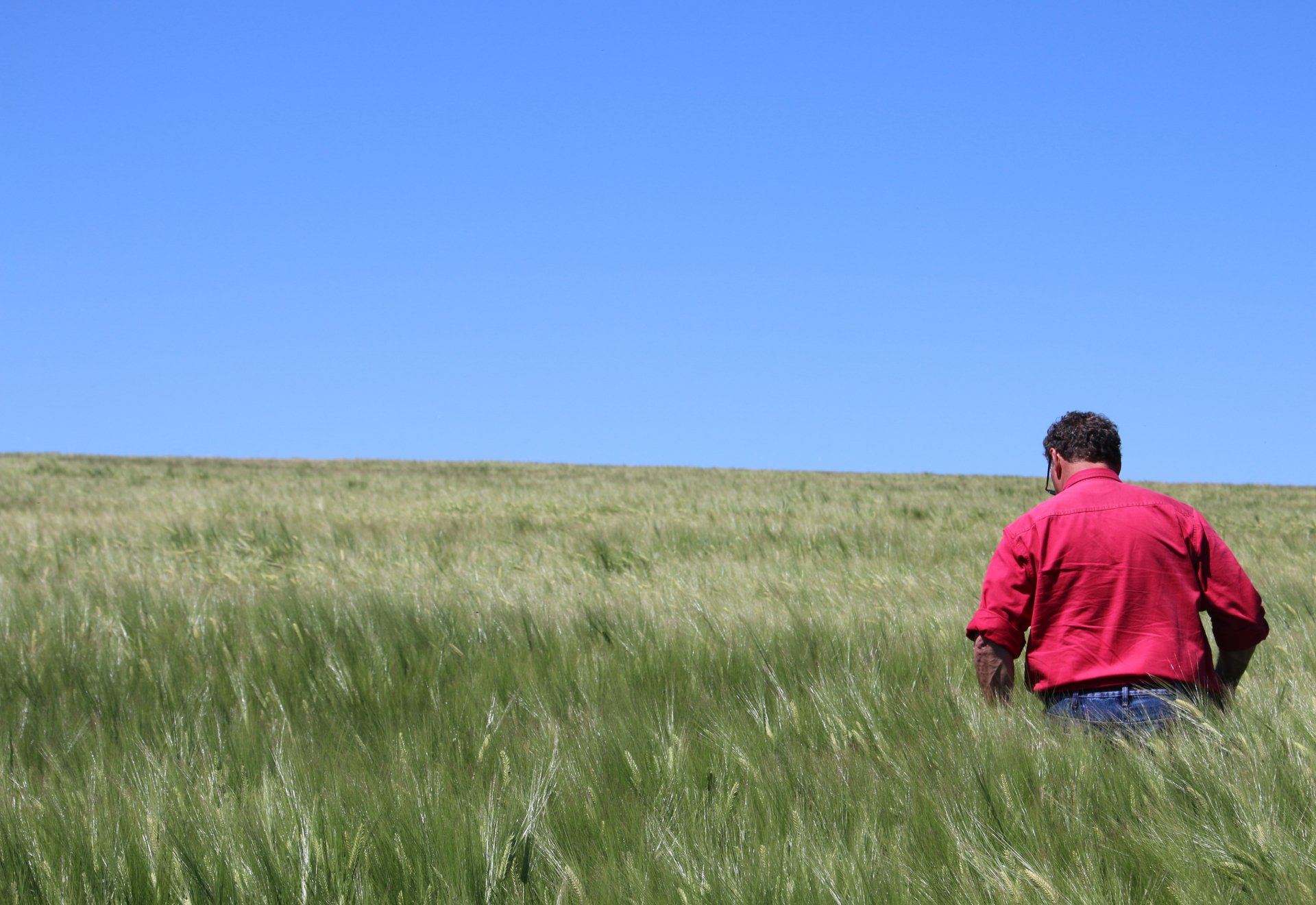 Customised Farm Management - Home