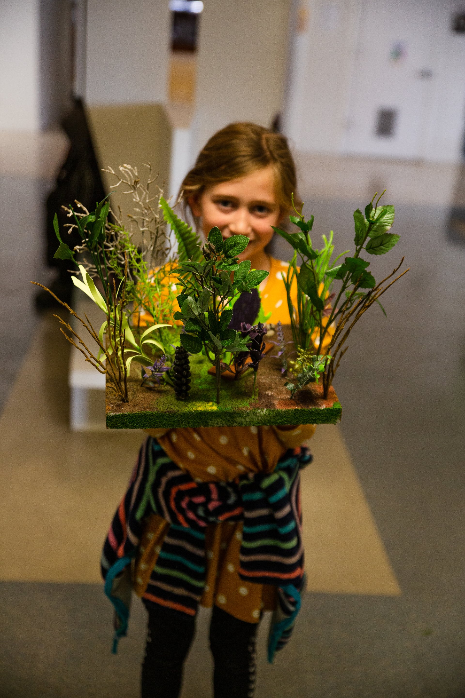 Lower Elementary Program | Milwaukee Montessori School