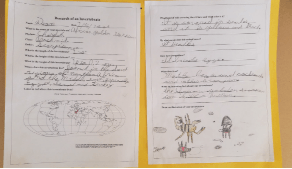 Lower Elementary Program | Milwaukee Montessori School