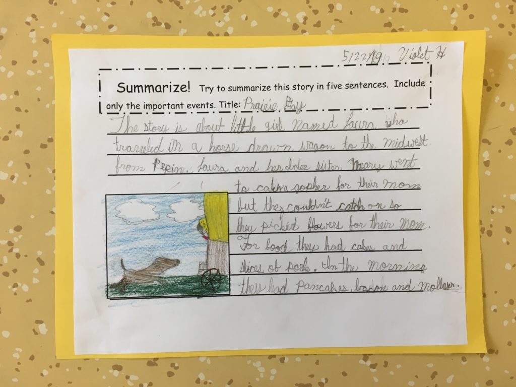 Lower Elementary Program | Milwaukee Montessori School