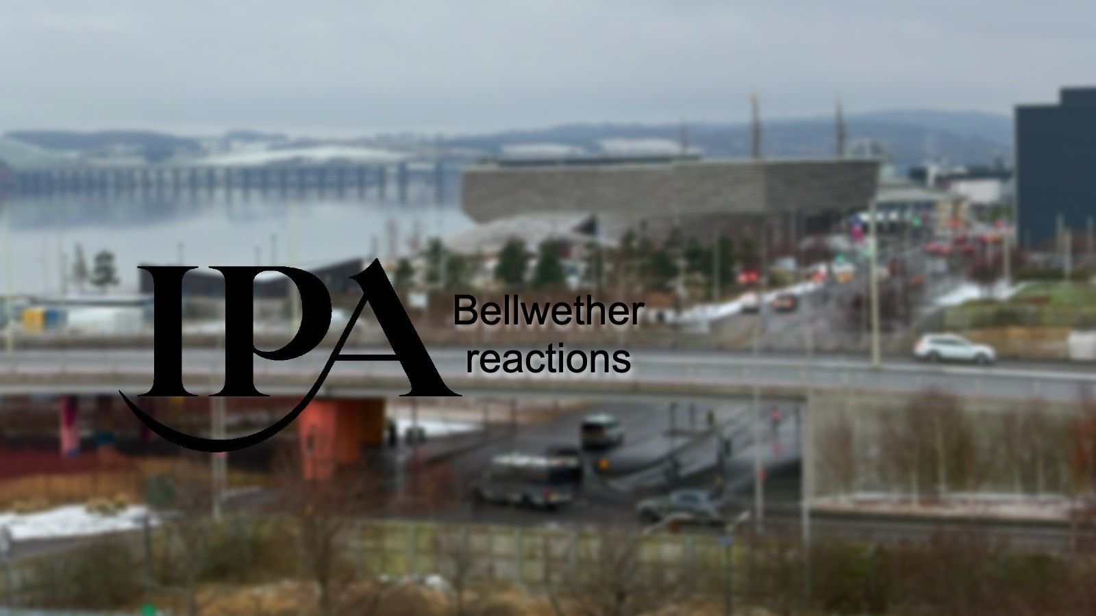 IPA Bellwether Q4 2025 – Industry reactions