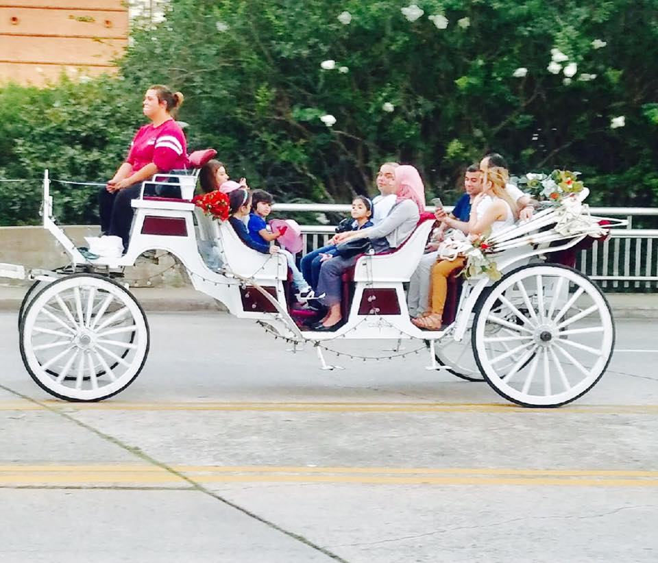 Carriage Tours – Houston, TX – Vintage Carriage Co.