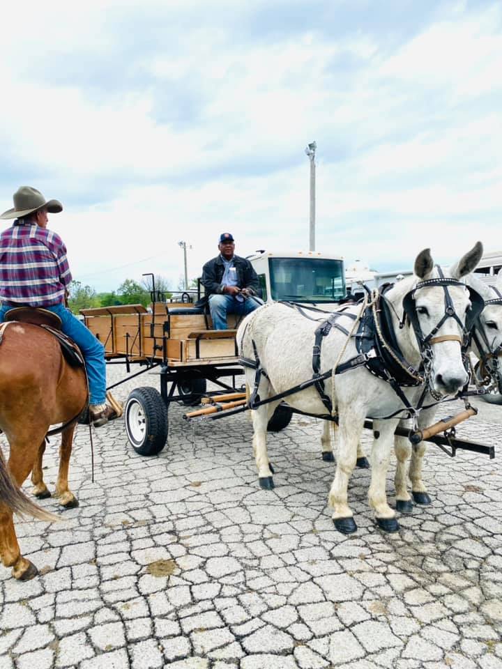 Hayride Carriage Rides – Houston, TX – Vintage Carriage Co.