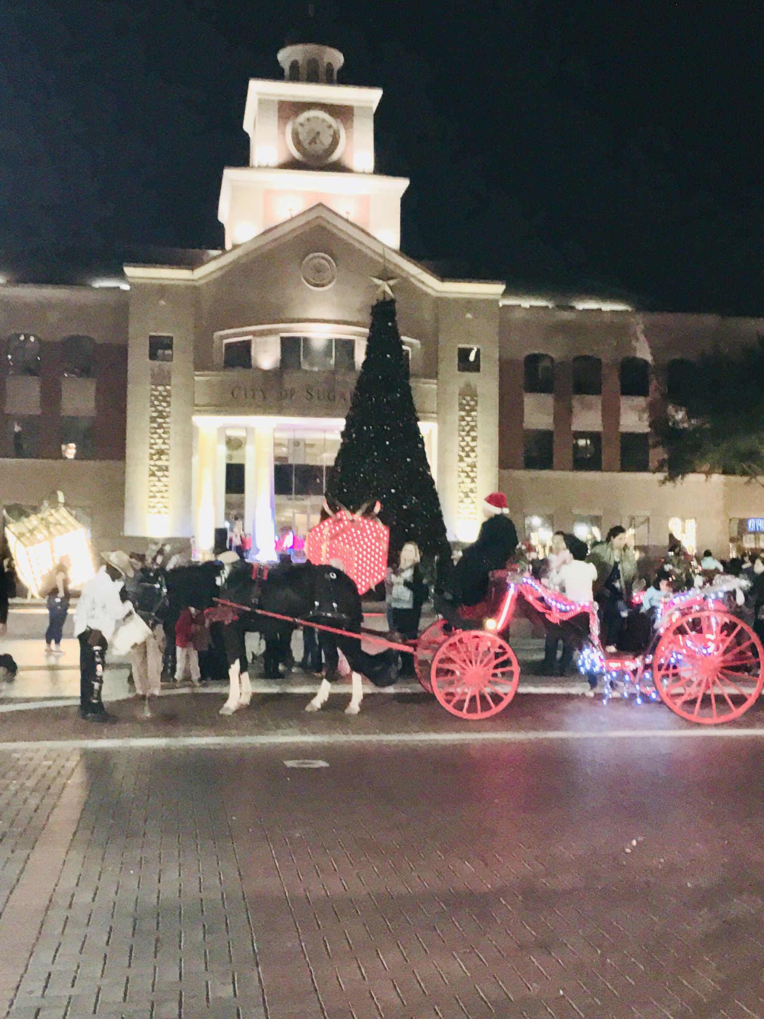 Holiday Carriage Rides – Houston, TX – Vintage Carriage Co.