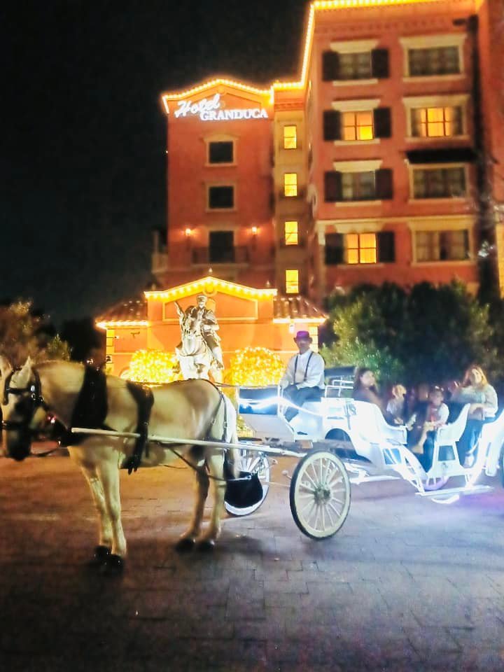 Holiday Carriage Rides – Houston, TX – Vintage Carriage Co.