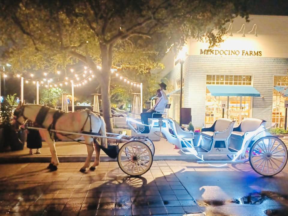 Carriage Tours – Houston, TX – Vintage Carriage Co.