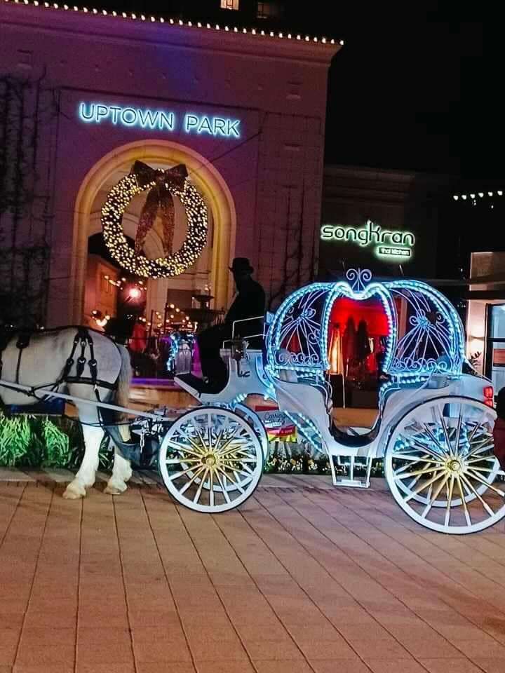 Horse Carriage Rides – Houston, TX – Vintage Carriage Co.