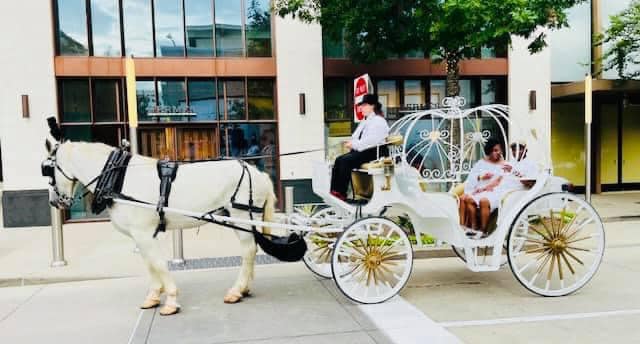 Our Carriages – Houston, TX – Vintage Carriage Co.