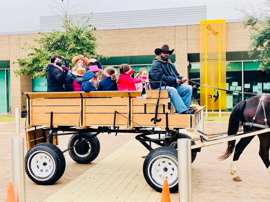 Horse Carriage Rides – Houston, TX – Vintage Carriage Co.