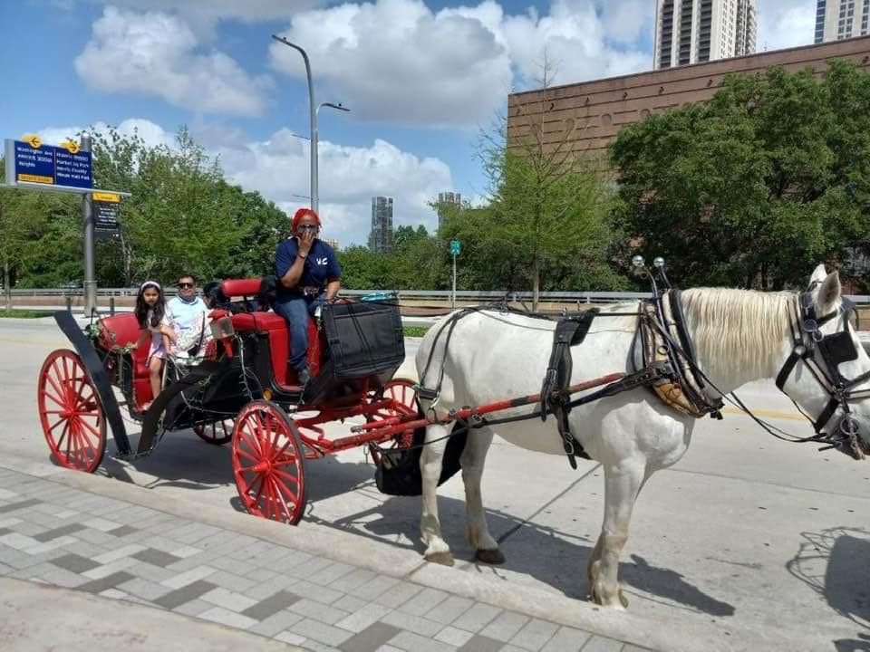 Carriage Tours – Houston, TX – Vintage Carriage Co.