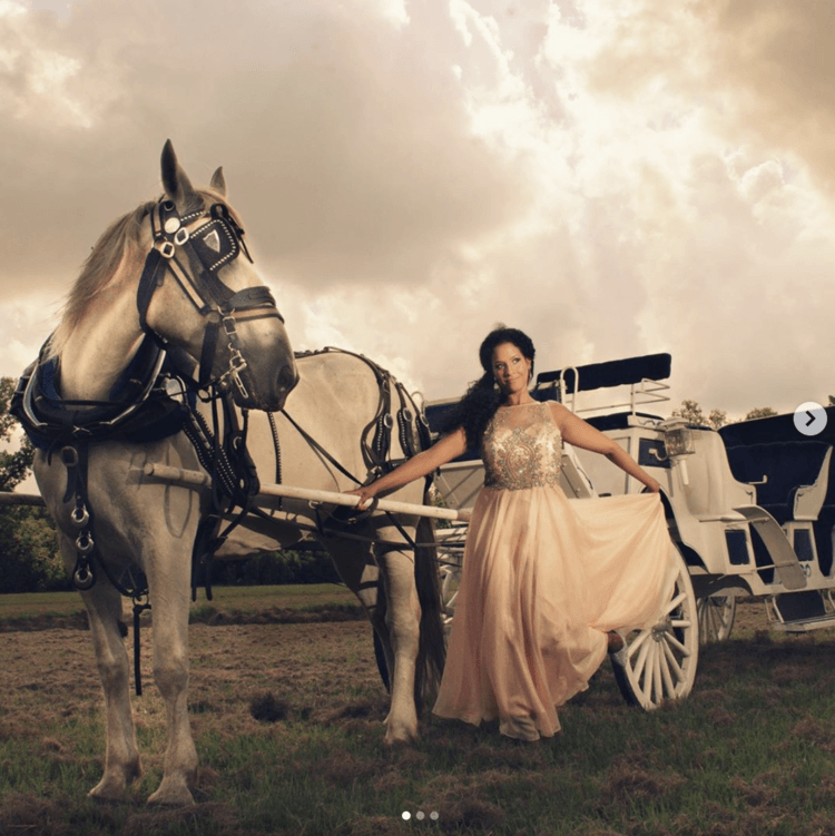 Horse Carriage Rides – Houston, TX – Vintage Carriage Co.
