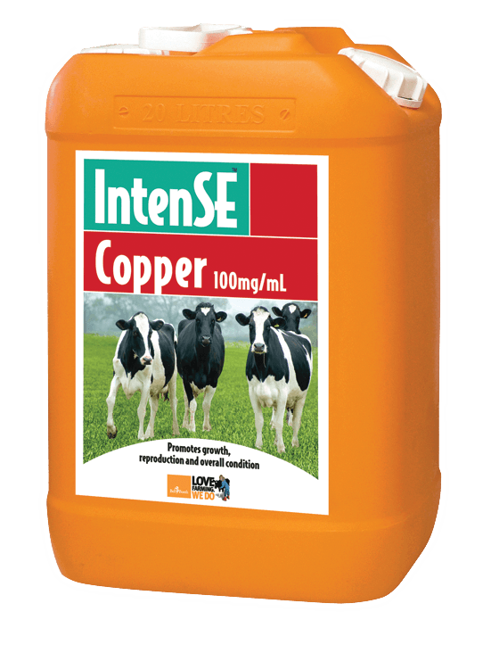 IntenSE Copper