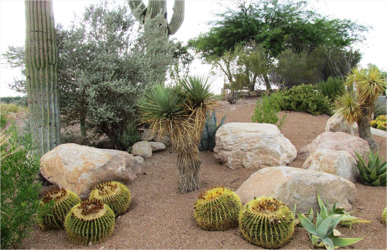 Landscape Design | Diamond Cut Landscape | AZ