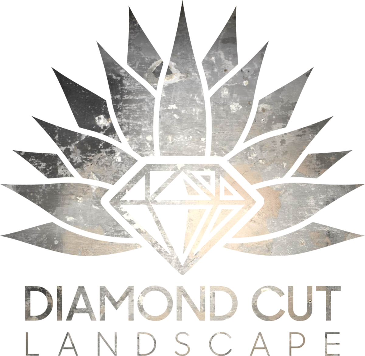 Landscape Design | Diamond Cut Landscape | AZ