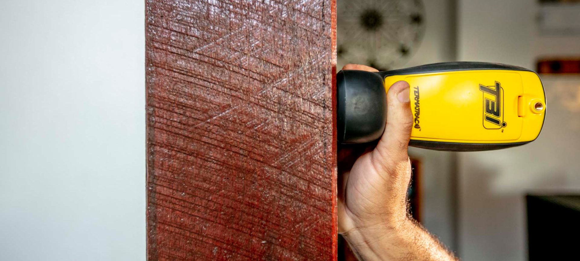 Termite Control in Gladstone | Superior Termite & Pest Control