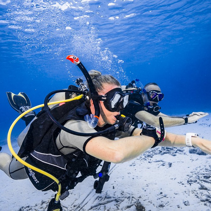 B Diving Curacao | Explore Scuba Adventures in Paradise