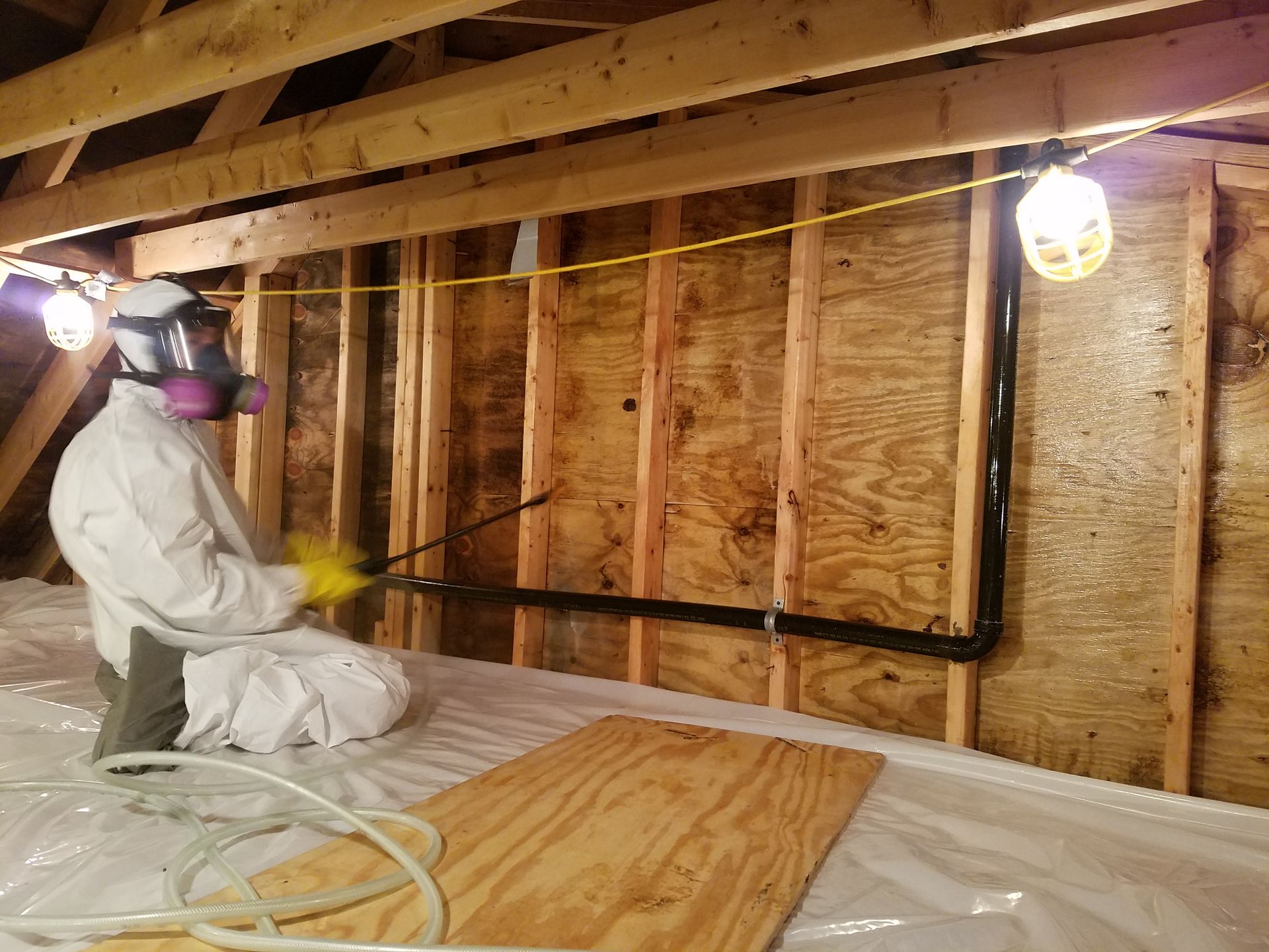 Mold Remediation | Economic Enviro Techs Inc. | Fitchburg, MA 01420