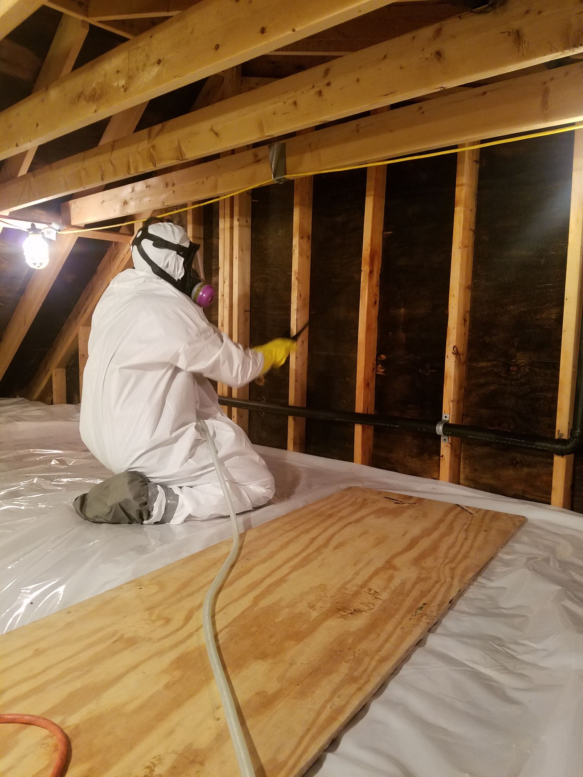 Mold Remediation | Economic Enviro Techs Inc. | Fitchburg, MA 01420