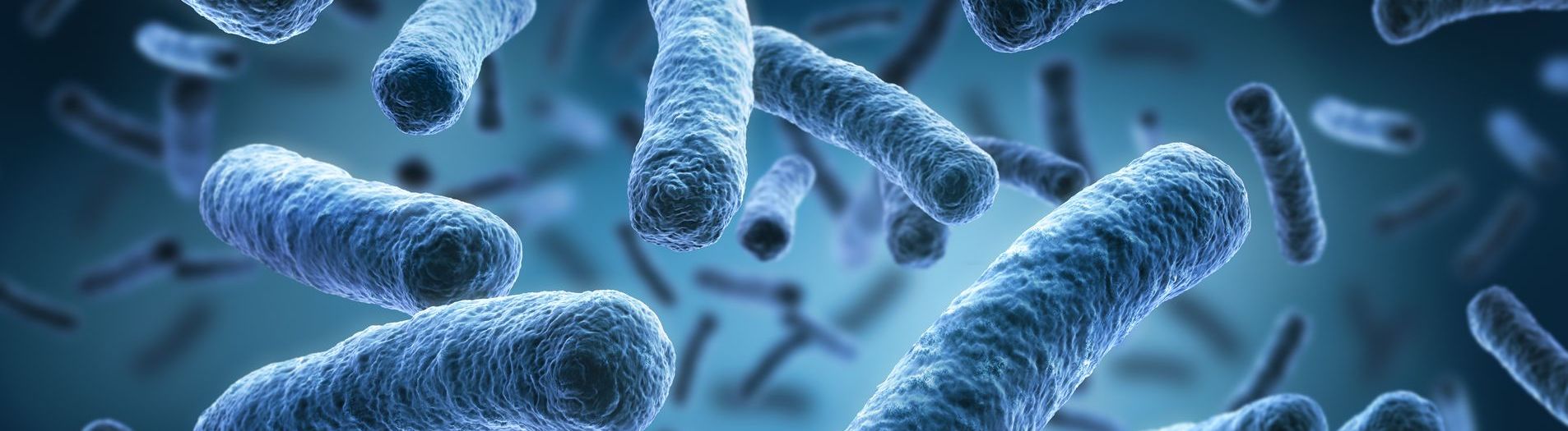 Understanding Legionnaires Disease: Causes and Prevention