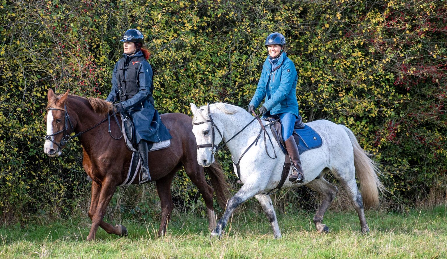 Rural Life Magazine | The Home of All Things Rural