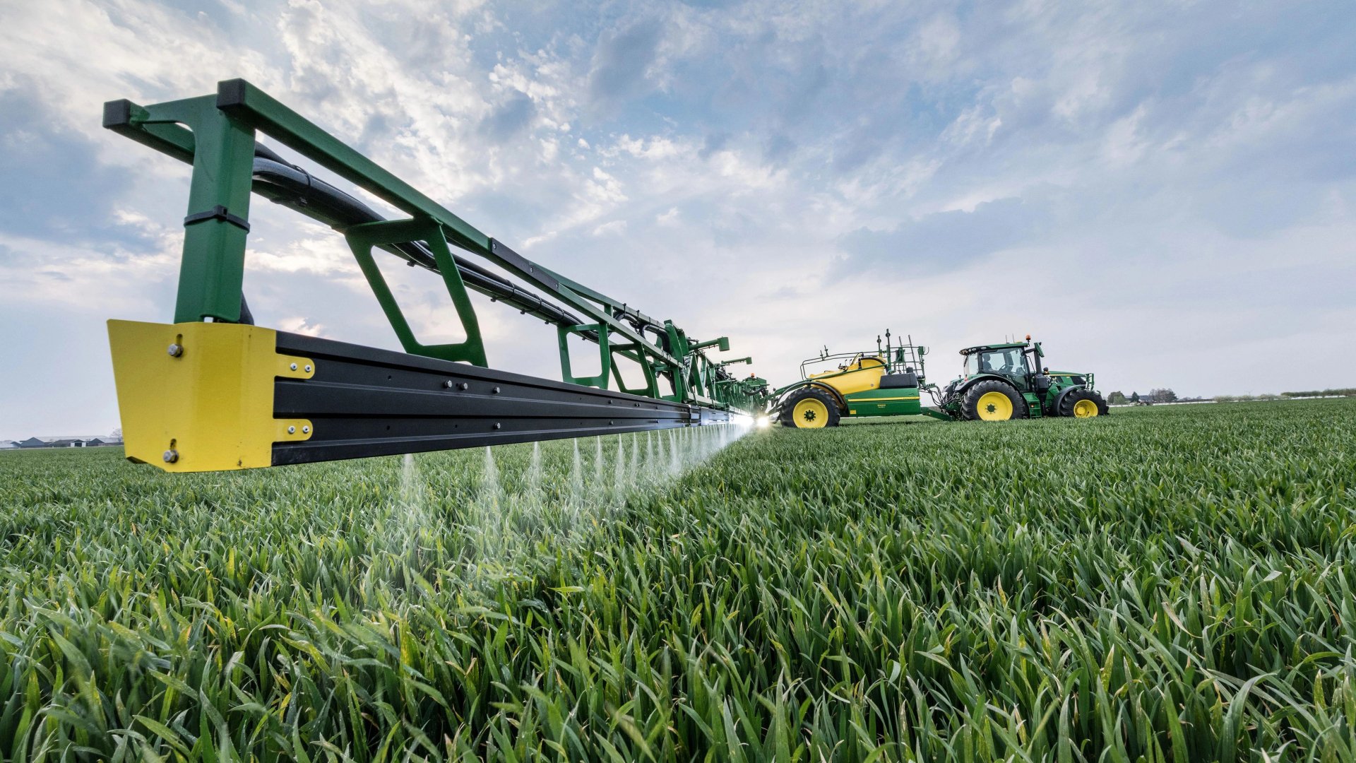 The Shire Horse in Britain: A Fascinating History