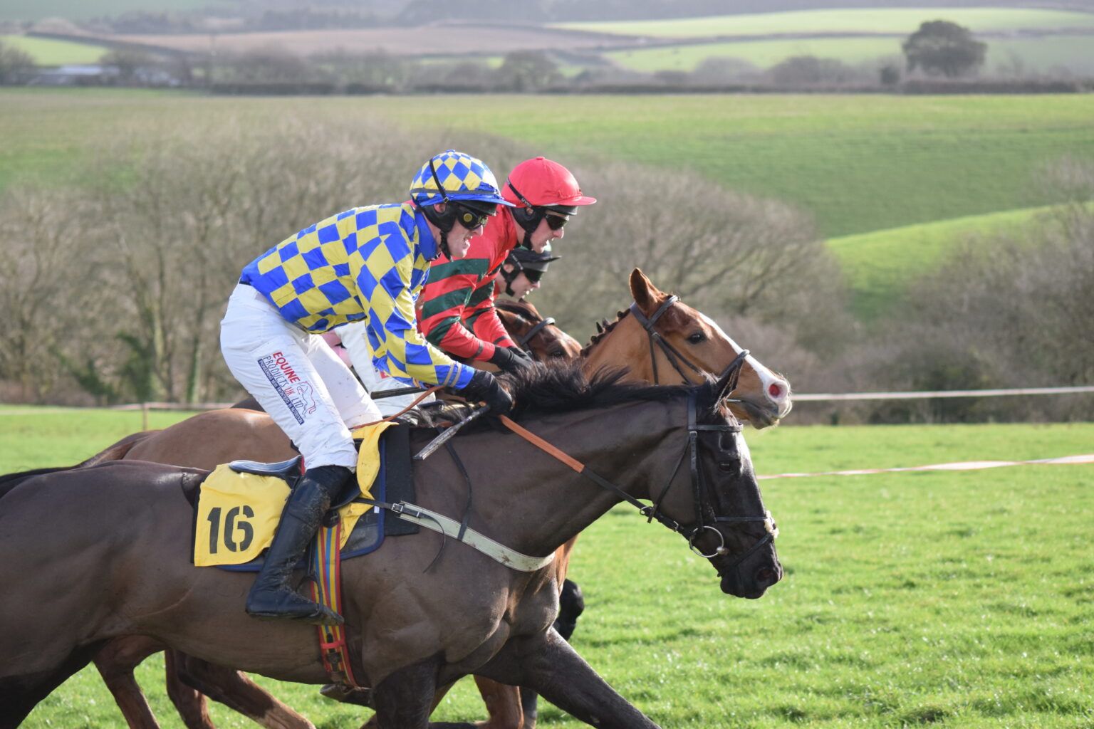 The History of the Aberdeen Angus: From Scottish Hills to Global Fields