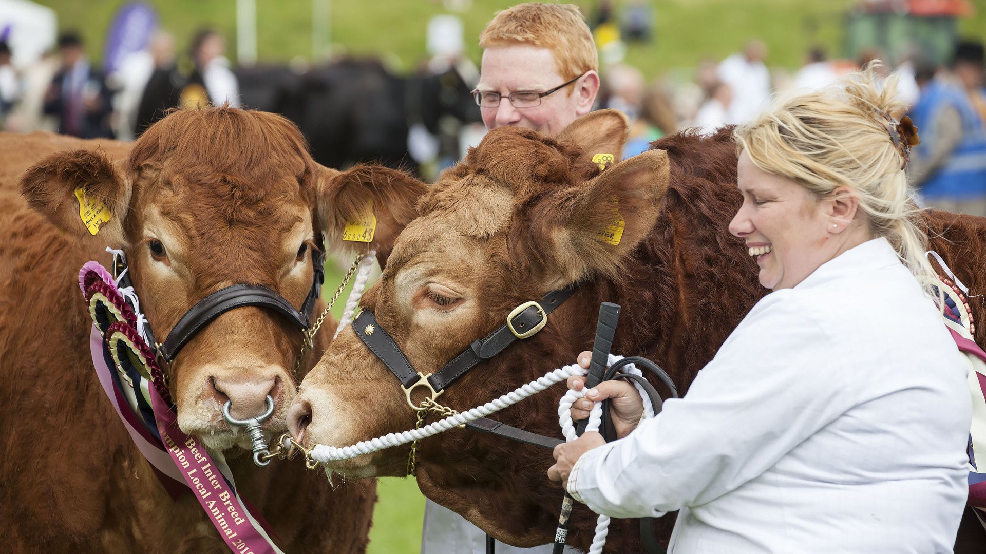 BIG PLANS AFOOT FOR DEVON COUNTY SHOW 2023