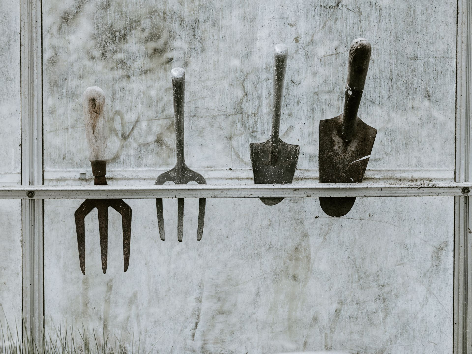 What to Plant in May A Gardener’s Guide for a Flourishing Garden