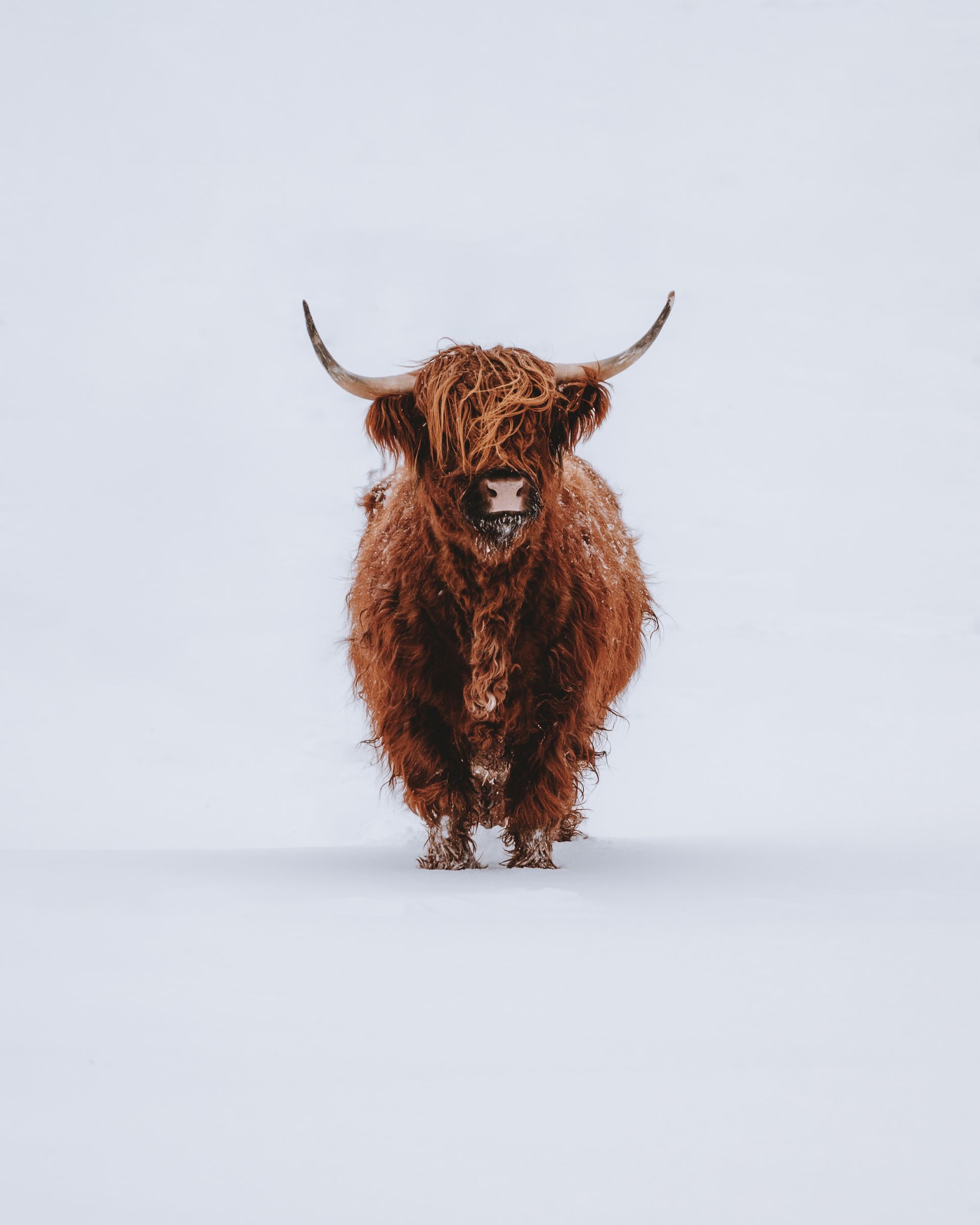 Rural Life Magazine | The Home of All Things Rural