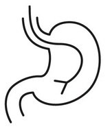 Gastroenterology | Adelaide | Adelaide Gastroenterology