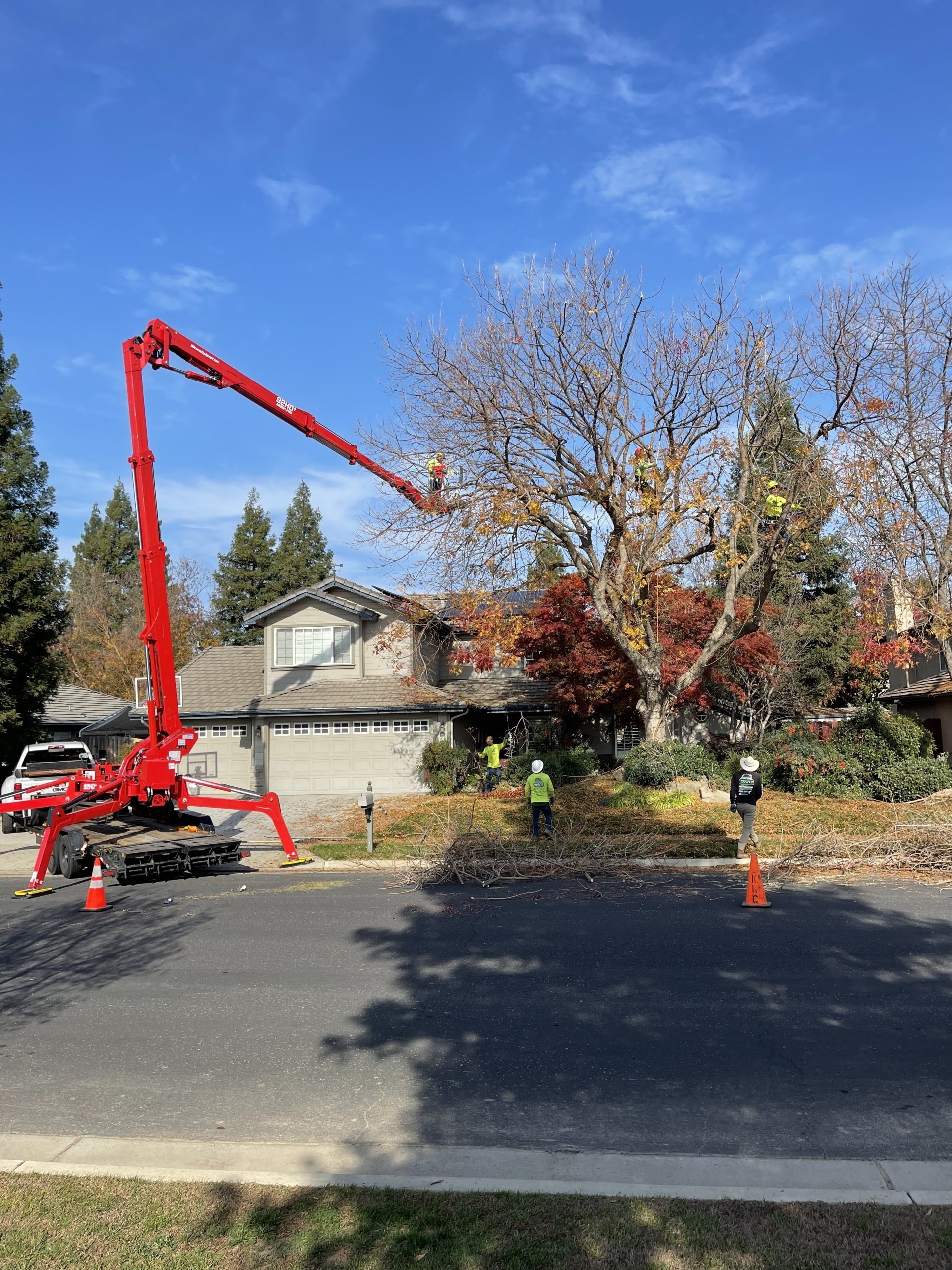 Tree Service Fresno | Fresno Tree Service | Travis Tree Service