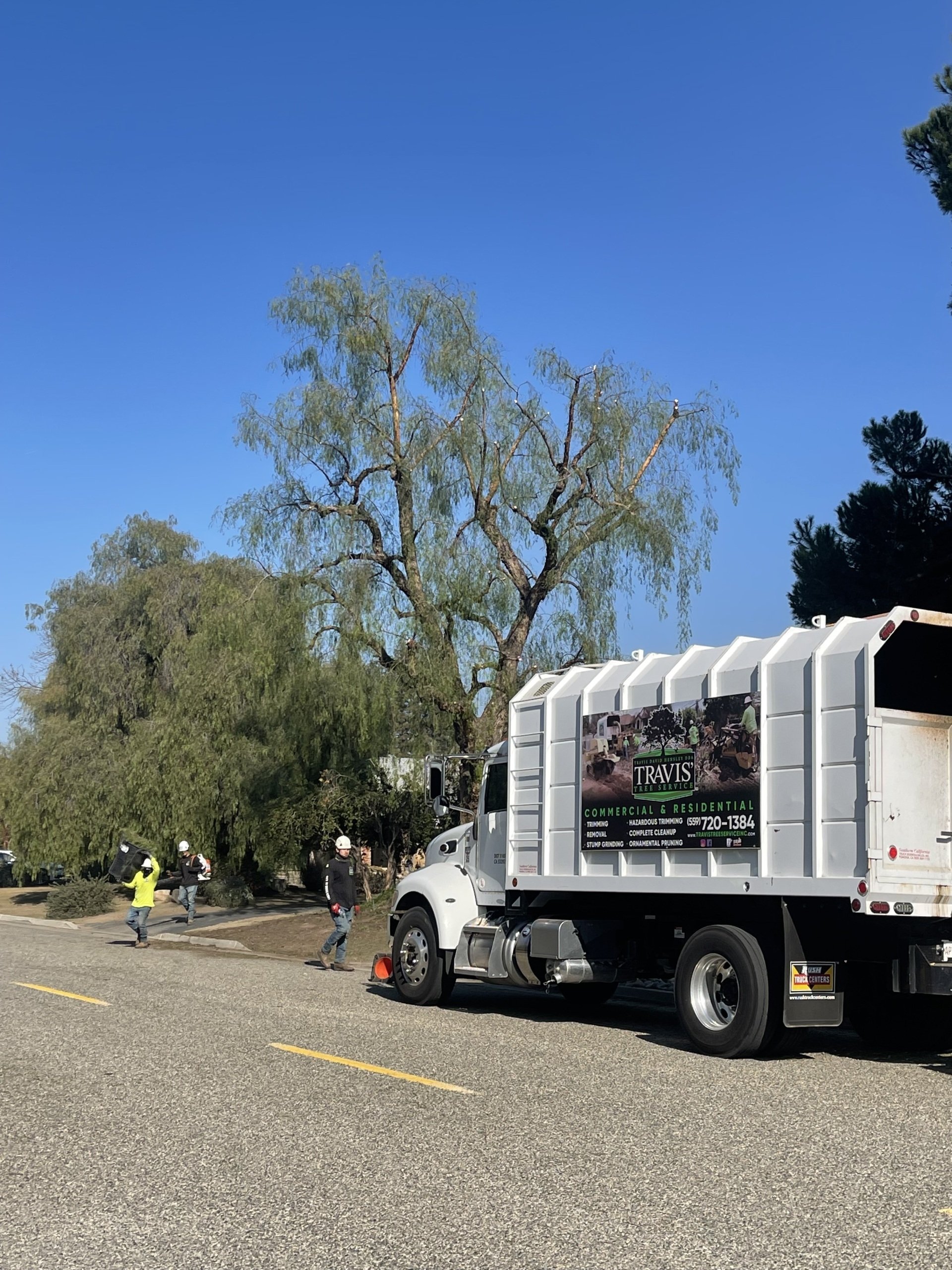Tree Service Fresno | Fresno Tree Service | Travis Tree Service