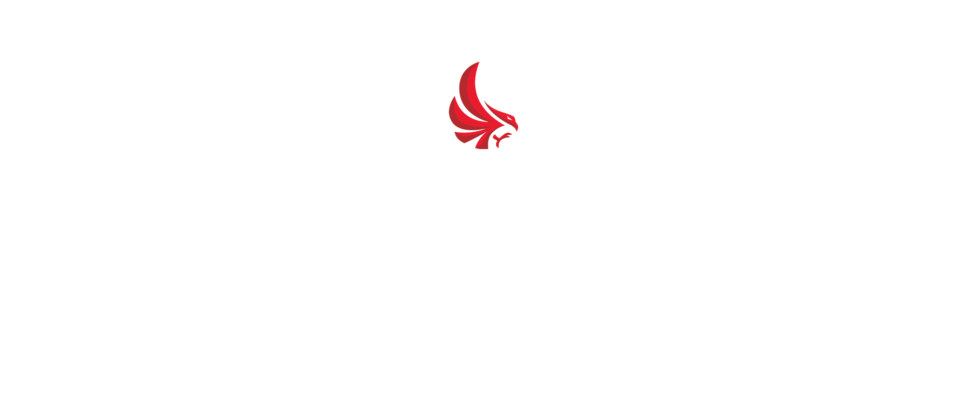 Calgary Surge - Canadian Professional Basketball Team
