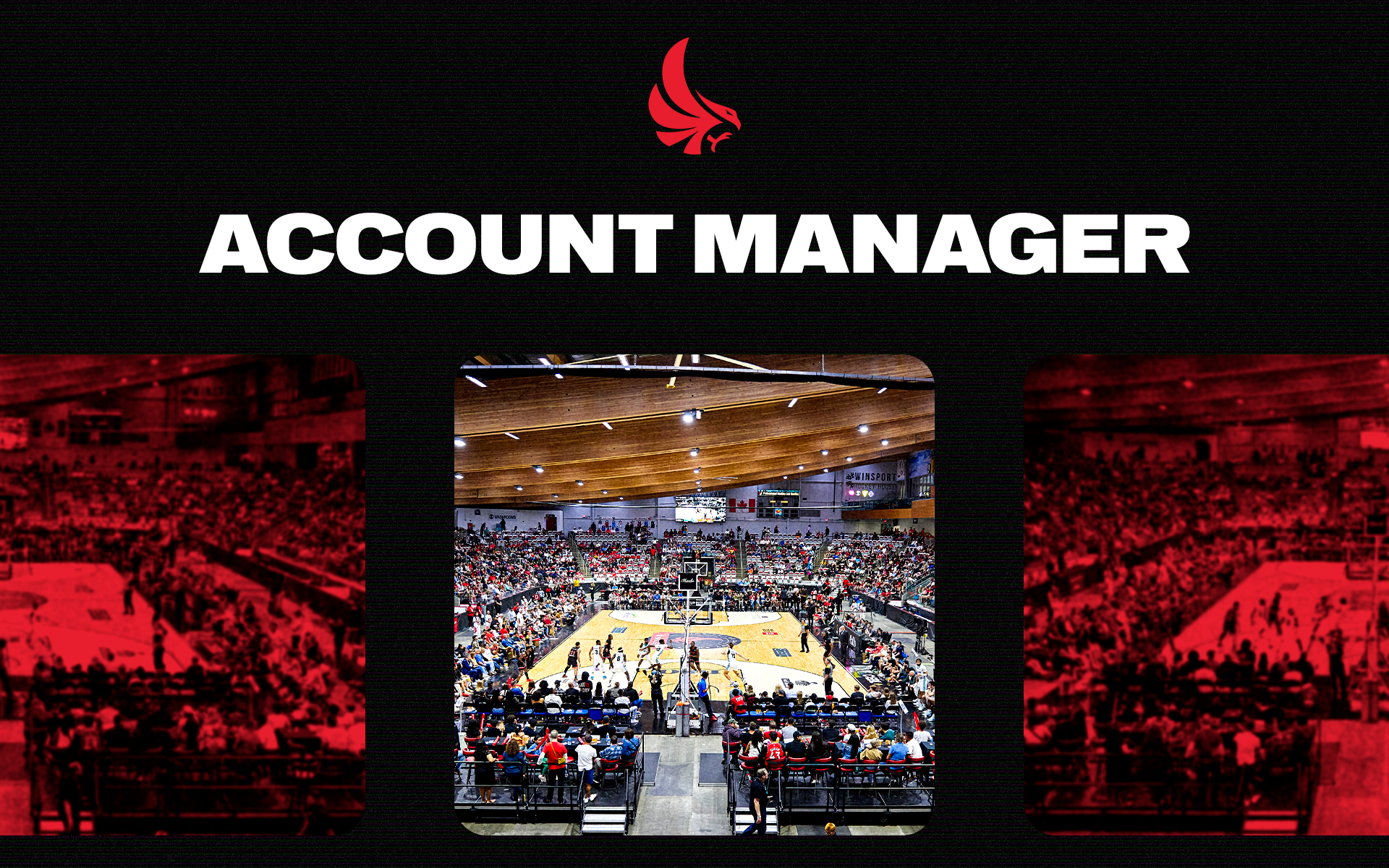 Calgary Surge - Canadian Professional Basketball Team