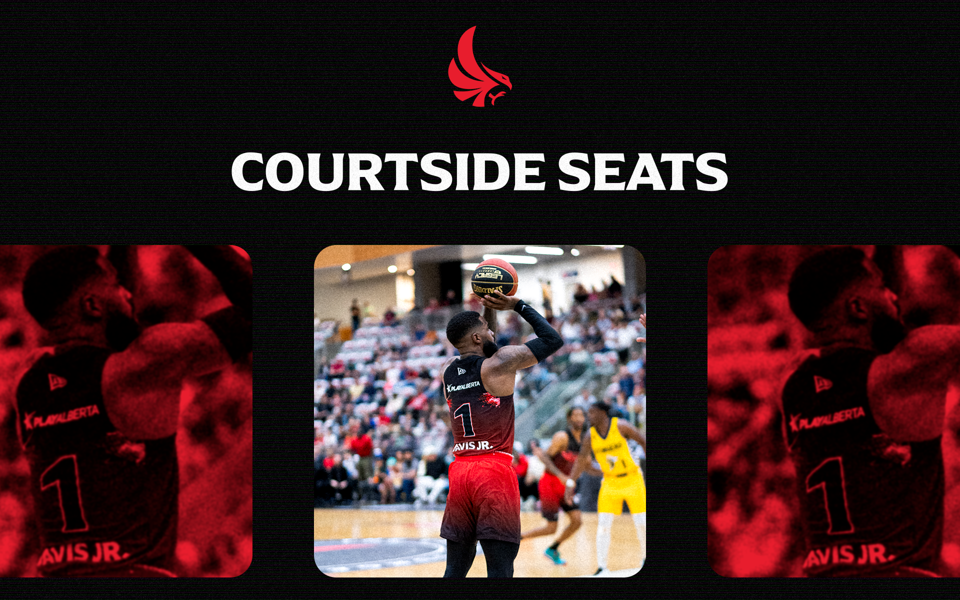 Calgary Surge - Canadian Professional Basketball Team