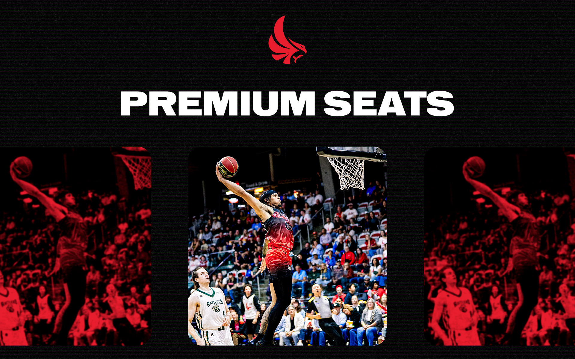 Calgary Surge - Canadian Professional Basketball Team