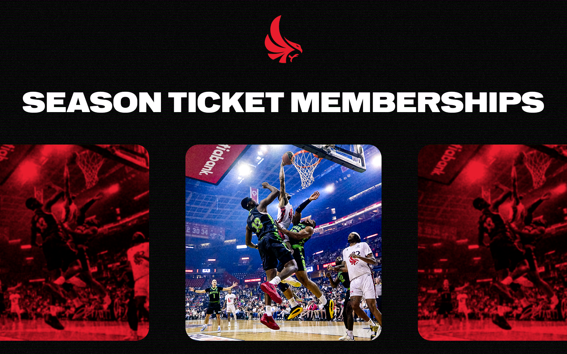 Calgary Surge - Canadian Professional Basketball Team