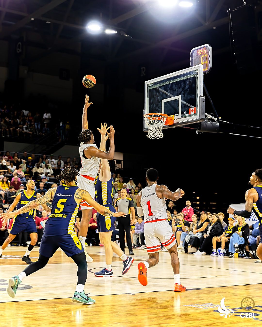 Calgary Surge Basketball - Canadian Elite Basketball League