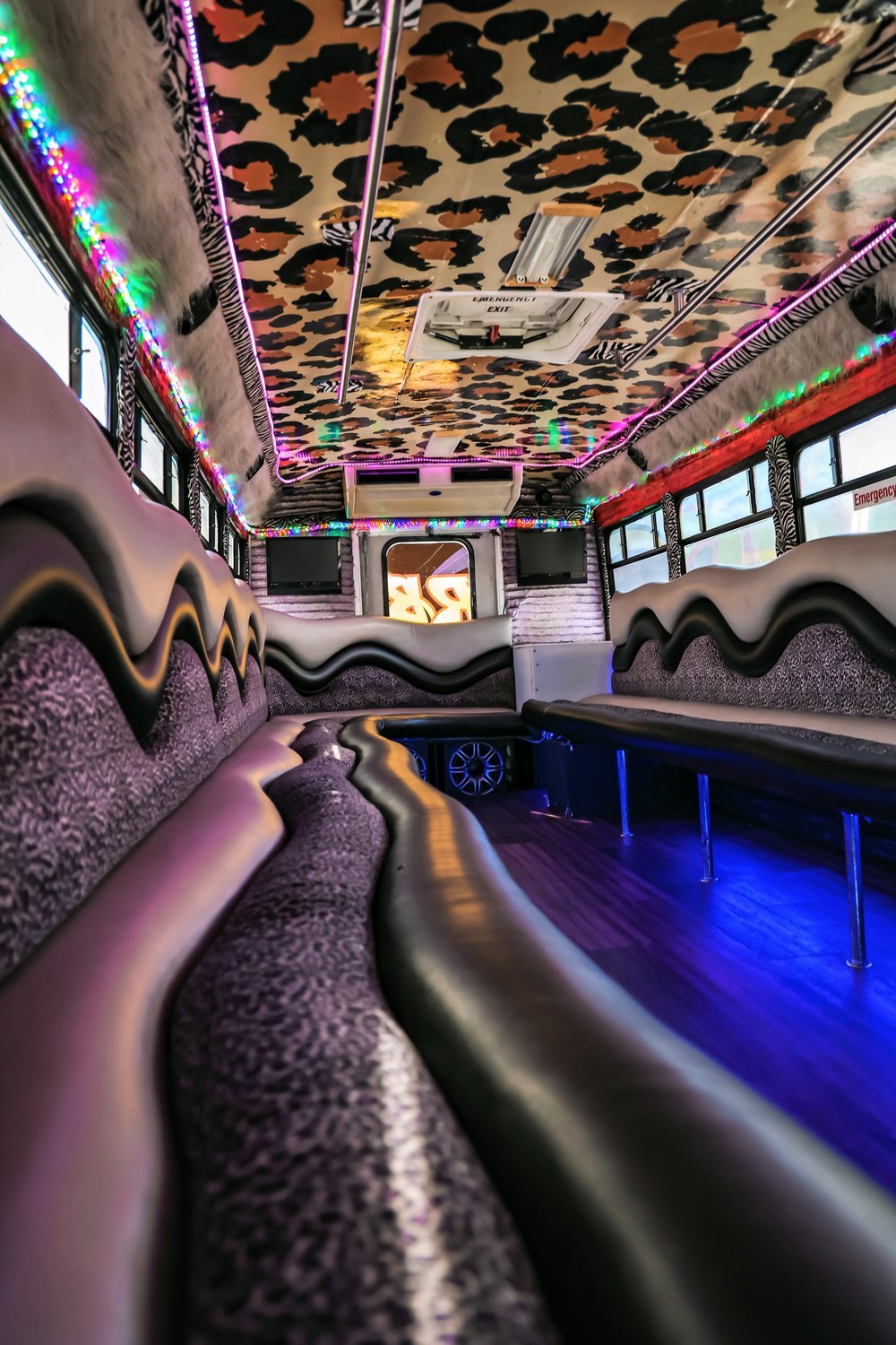 Big Blue (15-25 Passengers) — Fur Bus | Atlanta's Best Party Bus
