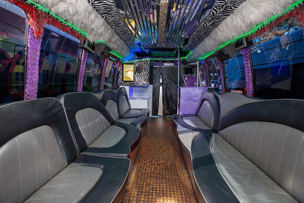 Skyline Fur Bus (10-15 Passengers) — Fur Bus | Atlanta's Best Party Bus