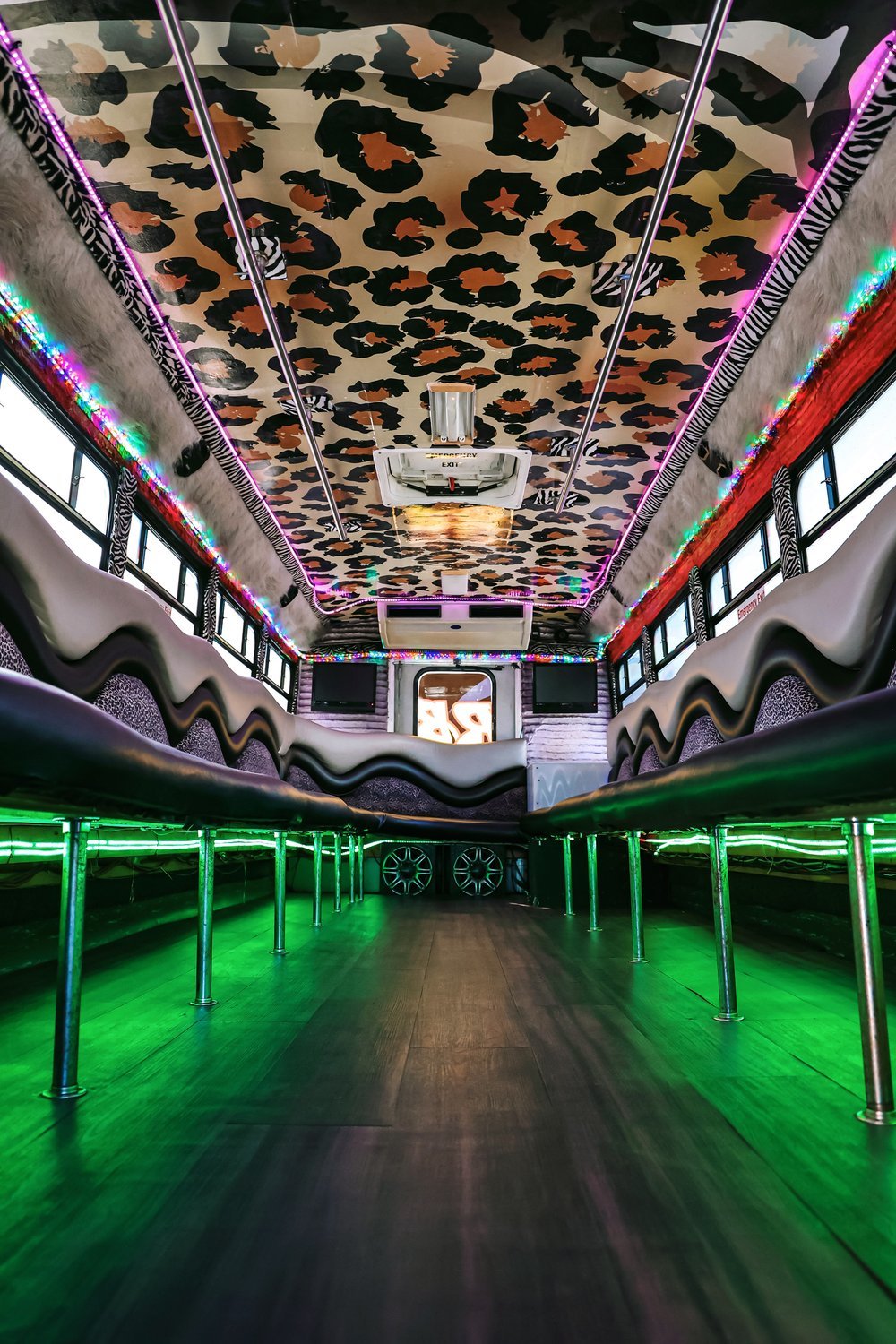 Big Blue (15-25 Passengers) — Fur Bus | Atlanta's Best Party Bus