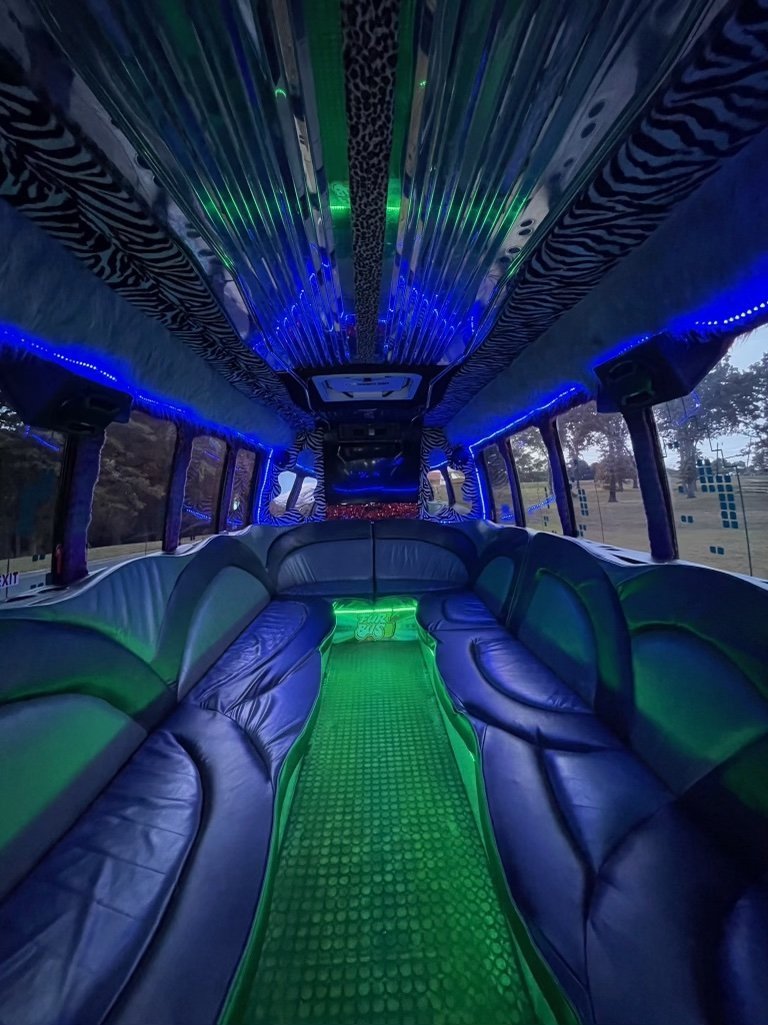 Skyline Fur Bus (10-15 Passengers) — Fur Bus | Atlanta's Best Party Bus