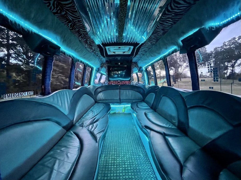 Skyline Fur Bus (10-15 Passengers) — Fur Bus | Atlanta's Best Party Bus