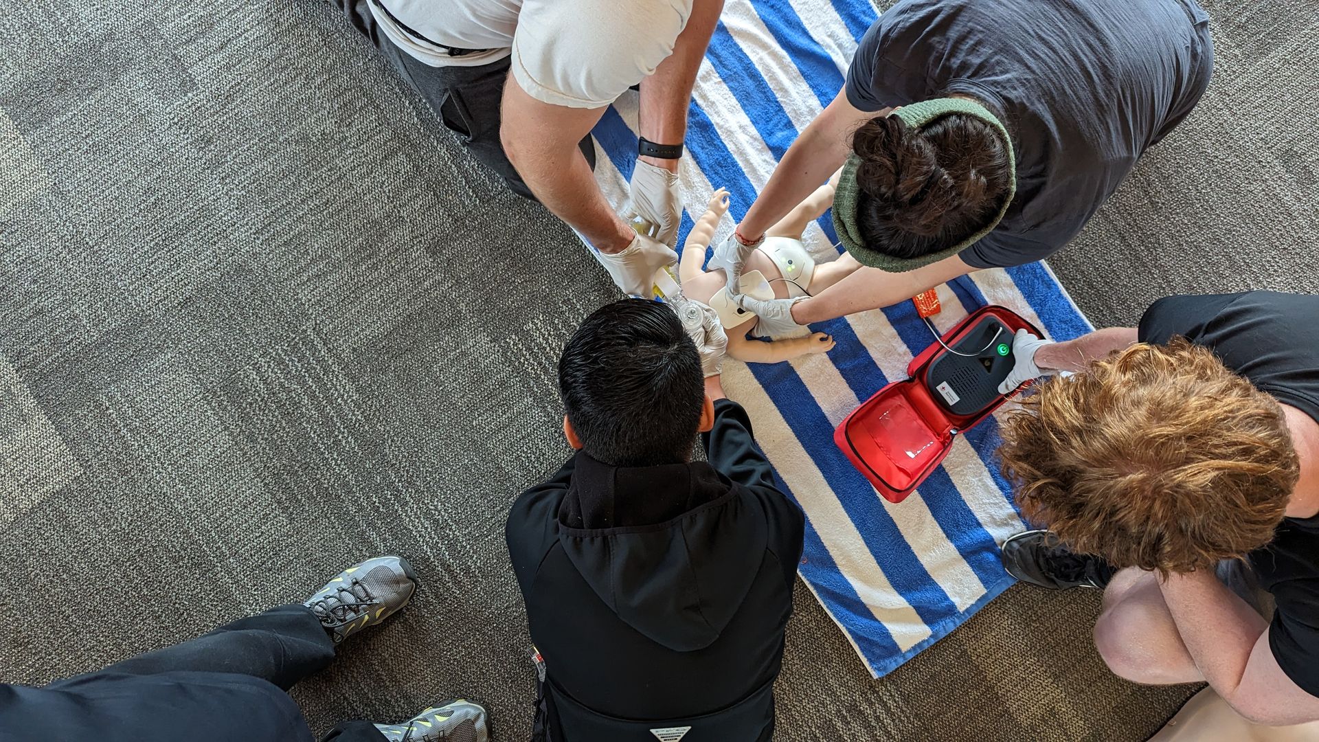 Lifeguard | First Aid | CPR | Red Cross Training Courses