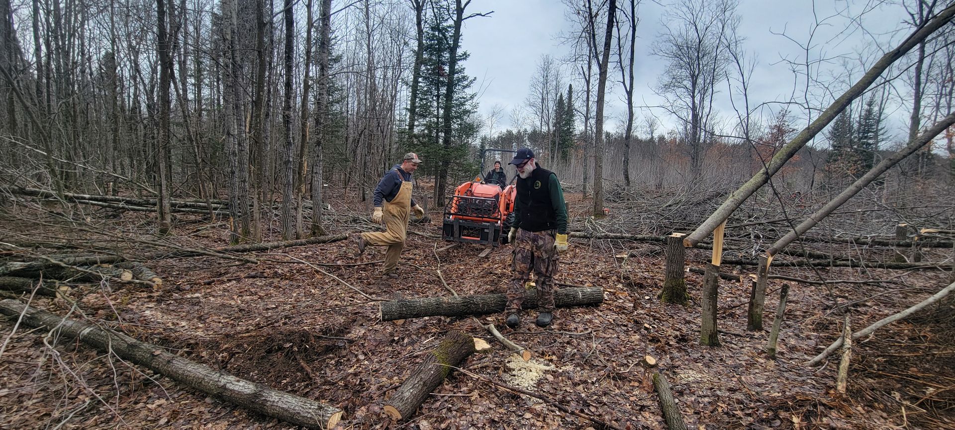 On the Ground: Brush Piles & Edge Feathering in the Traverse City ...